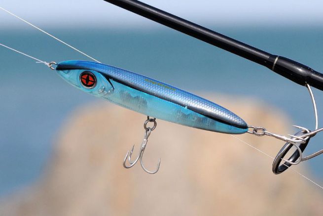 Pêche du bar, le Mister Joe prend des couleurs en 2019