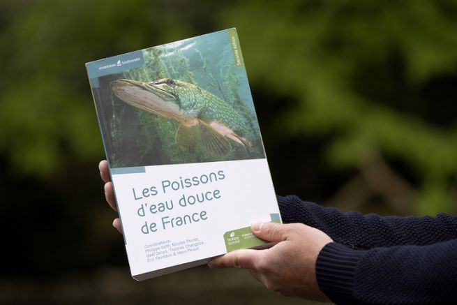 Nouvelle édition pour « Les poissons d'eau douce de France », un ouvrage référence