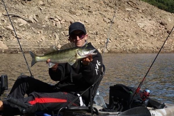 Le sandre, un poisson commun qui passionne beaucoup de pêcheurs
