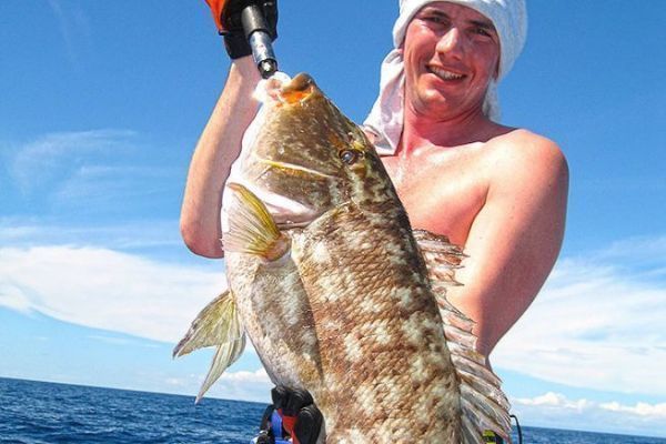 Le capitaine tidents, un poisson vigoureux au bout de la ligne