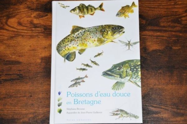 Poissons d'eau douce en Bretagne, découvrir la faune piscicole