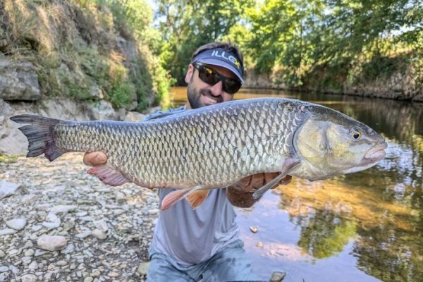 Pêche du chevaine, capture d'un énorme poisson de 64 centimètres