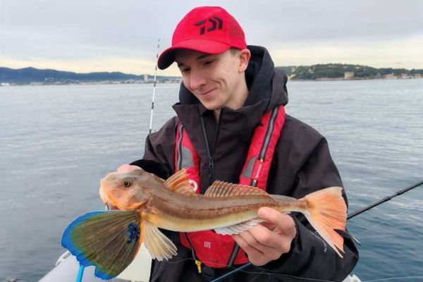La pêche du rouget grondin, un poisson à rechercher sur le fond
