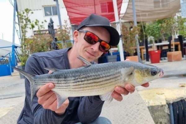 Pêche du mulet en Méditerranée, faites le plein de sensations