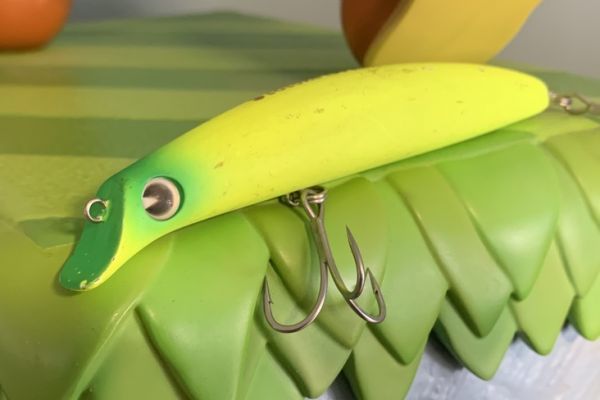 Sasuke 120, un jerkbait minnow pour pêcher les zones rocheuses