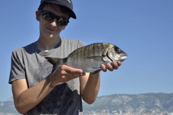 Pêcher le sar en surfcasting, une technique de pêche efficace