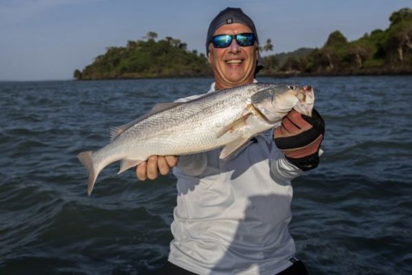 L'acoupa rouge : un trésor de la Guyane menacé