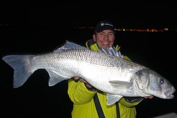 Pêche du bar : astuces et conseils pour rechercher les gros poissons