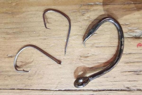 Circle Hook : autopsie et utilisation de cet hameçon aussi étrange qu ...